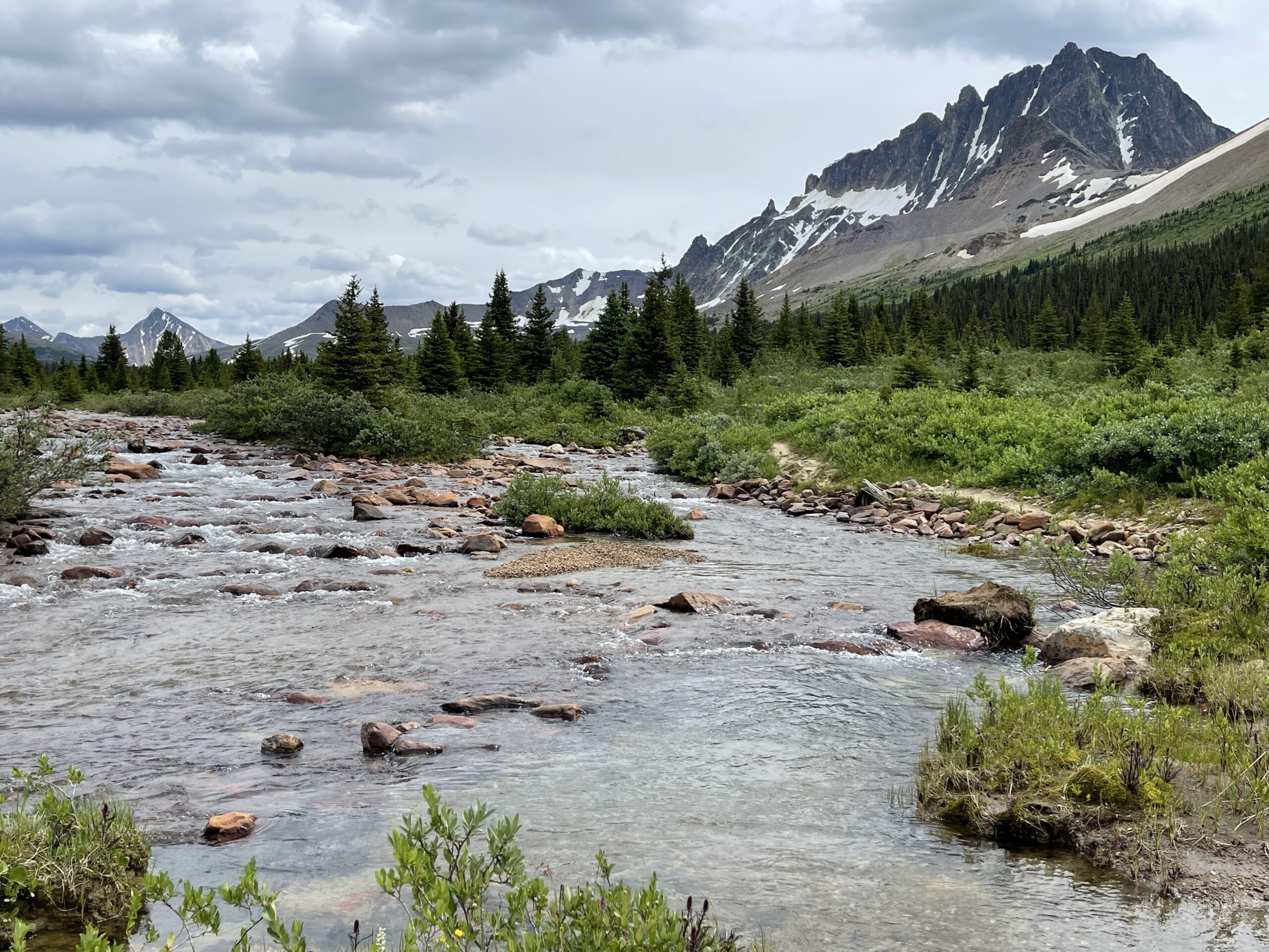 Icefields Parkway, and transportation remain top concerns in Jasper | AMPPE